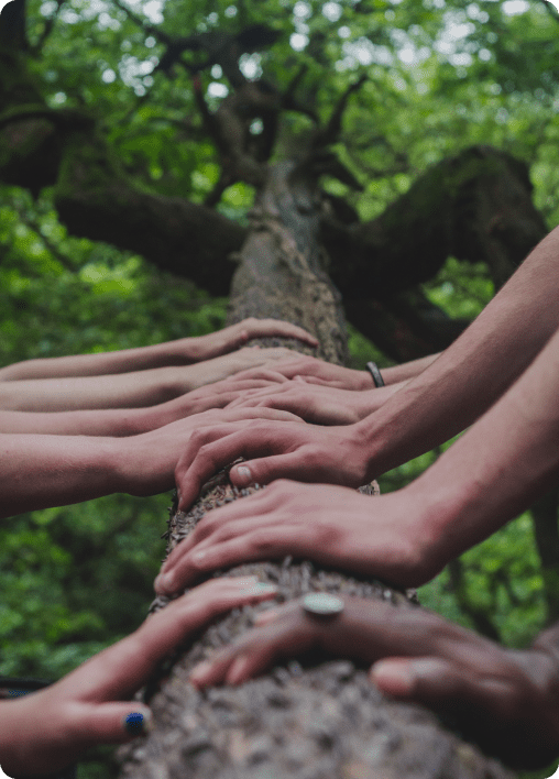 Customer-Centric Approach